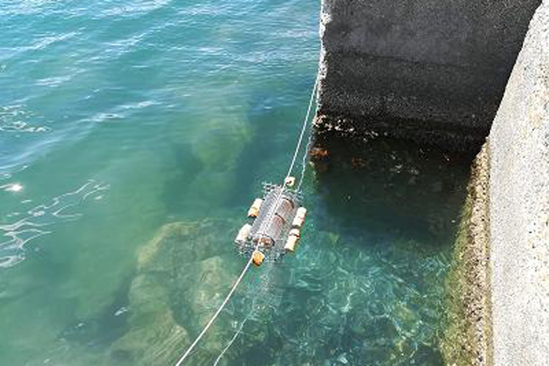 La plastica come tracciante dell’inquinamento marino